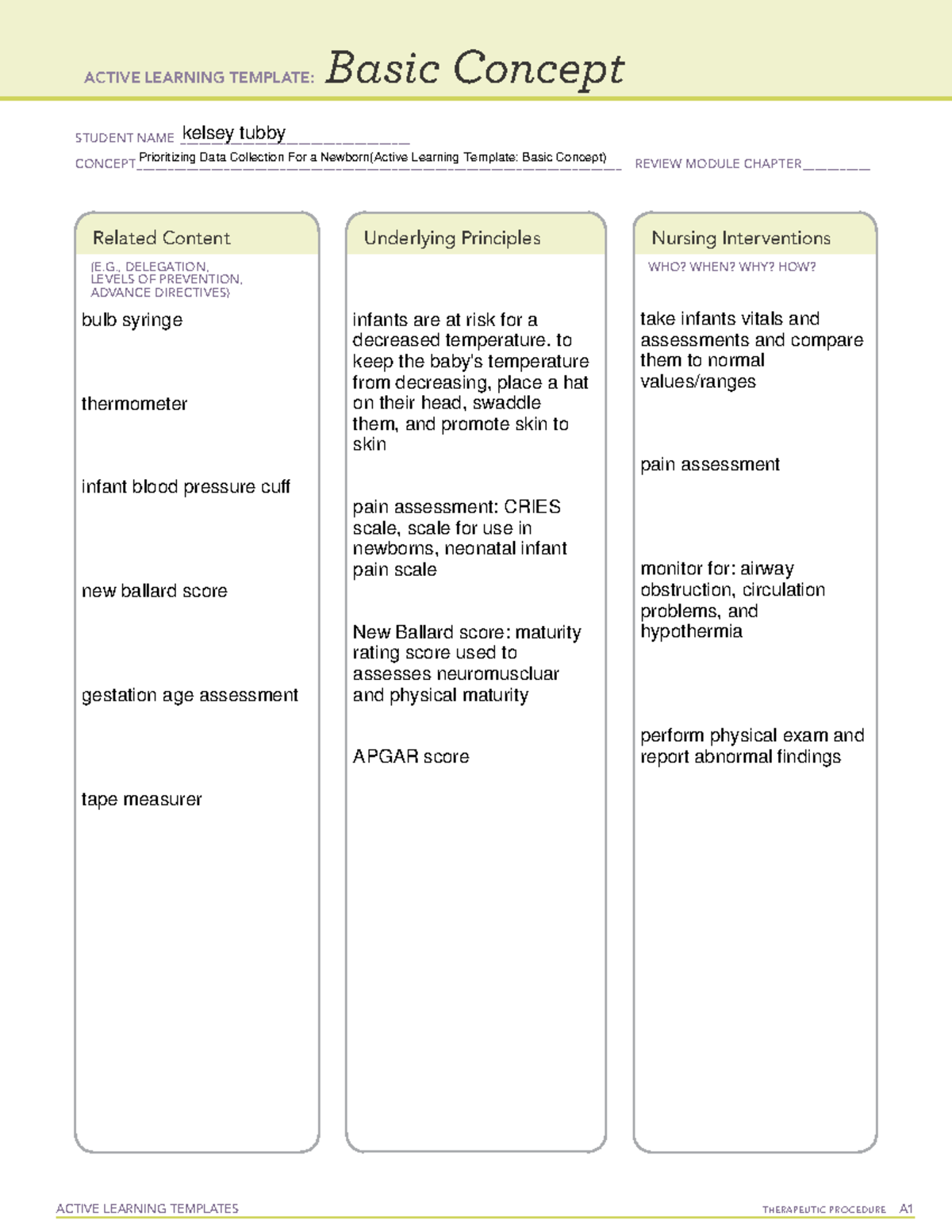 TR13 - Prioritizing Data Collection for Newborn Care: A Nursing Guide ...