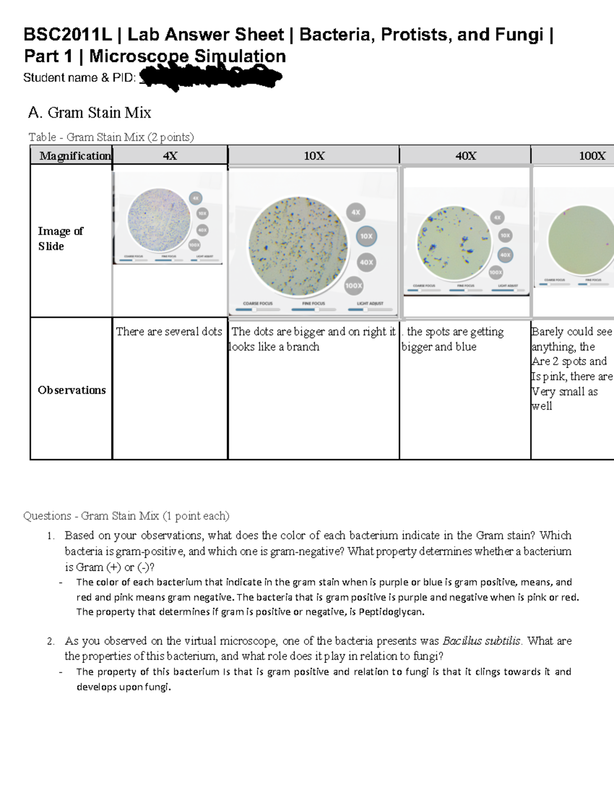 Lab 3 - BSC2011L | Lab Answer Sheet | Bacteria, Protists, and Fungi ...