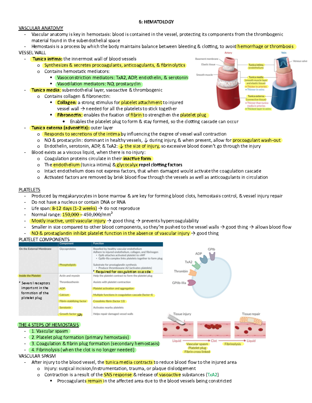 Hematology 1141: Overview of Hemostasis, Platelets, and Coagulation ...