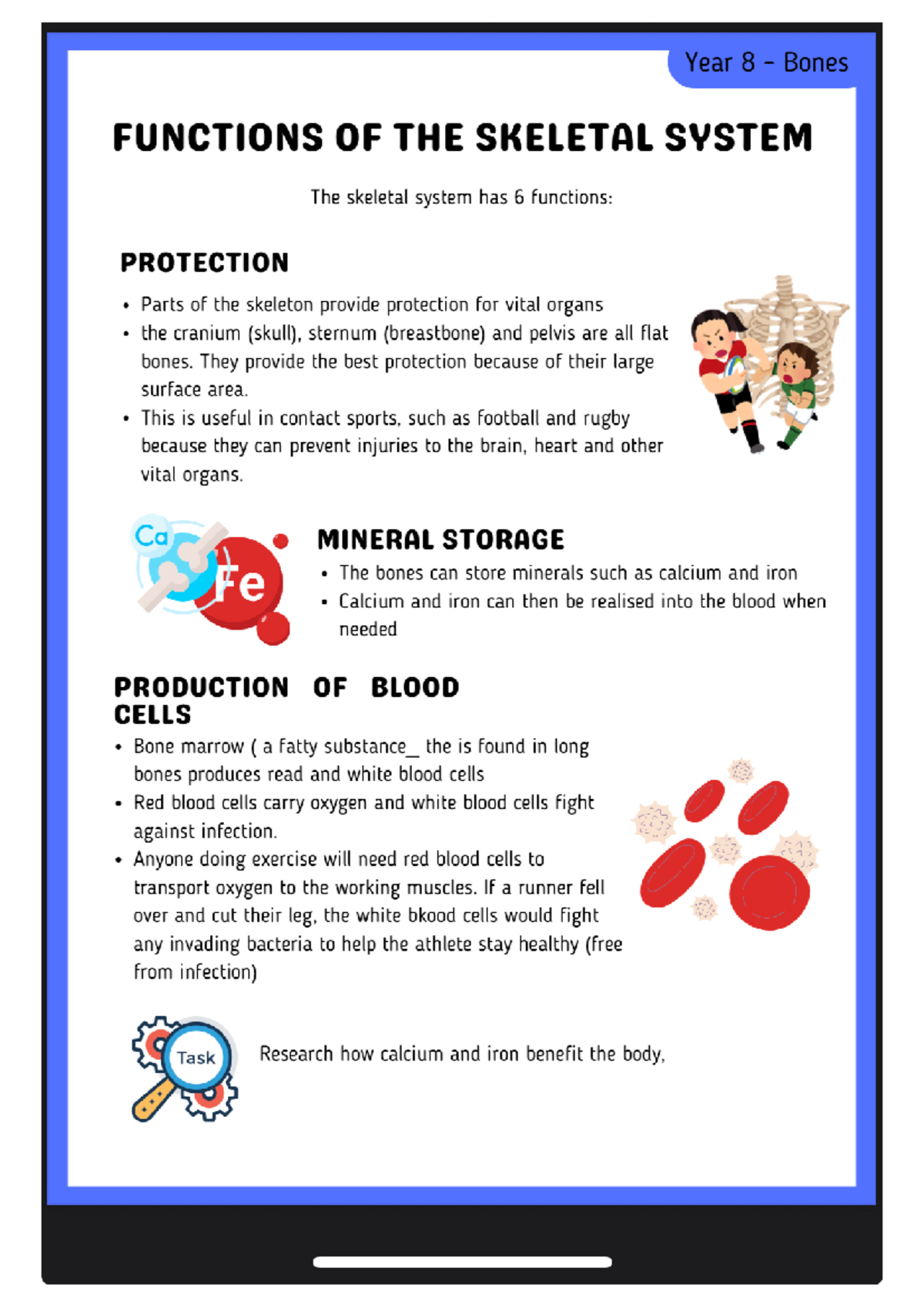 Year 8 Bones: Functions & Classifications of the Skeletal System - Studocu