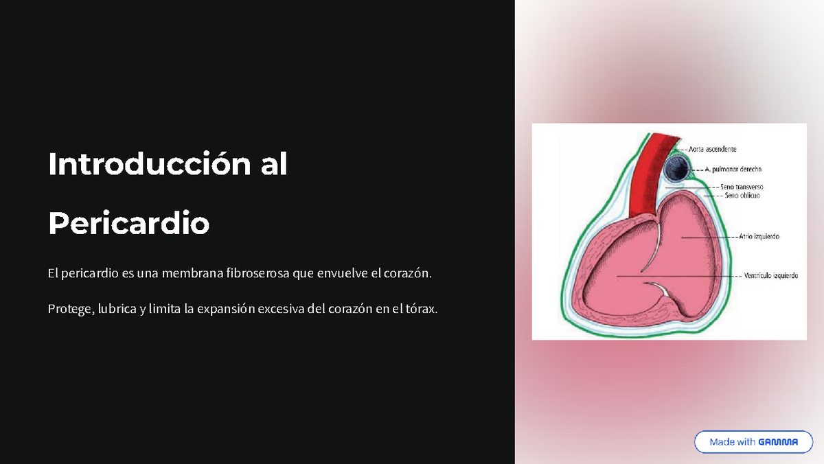 Presentacion-del-Pericardio - Introducción al Pericardio El pericardio es una membrana ...