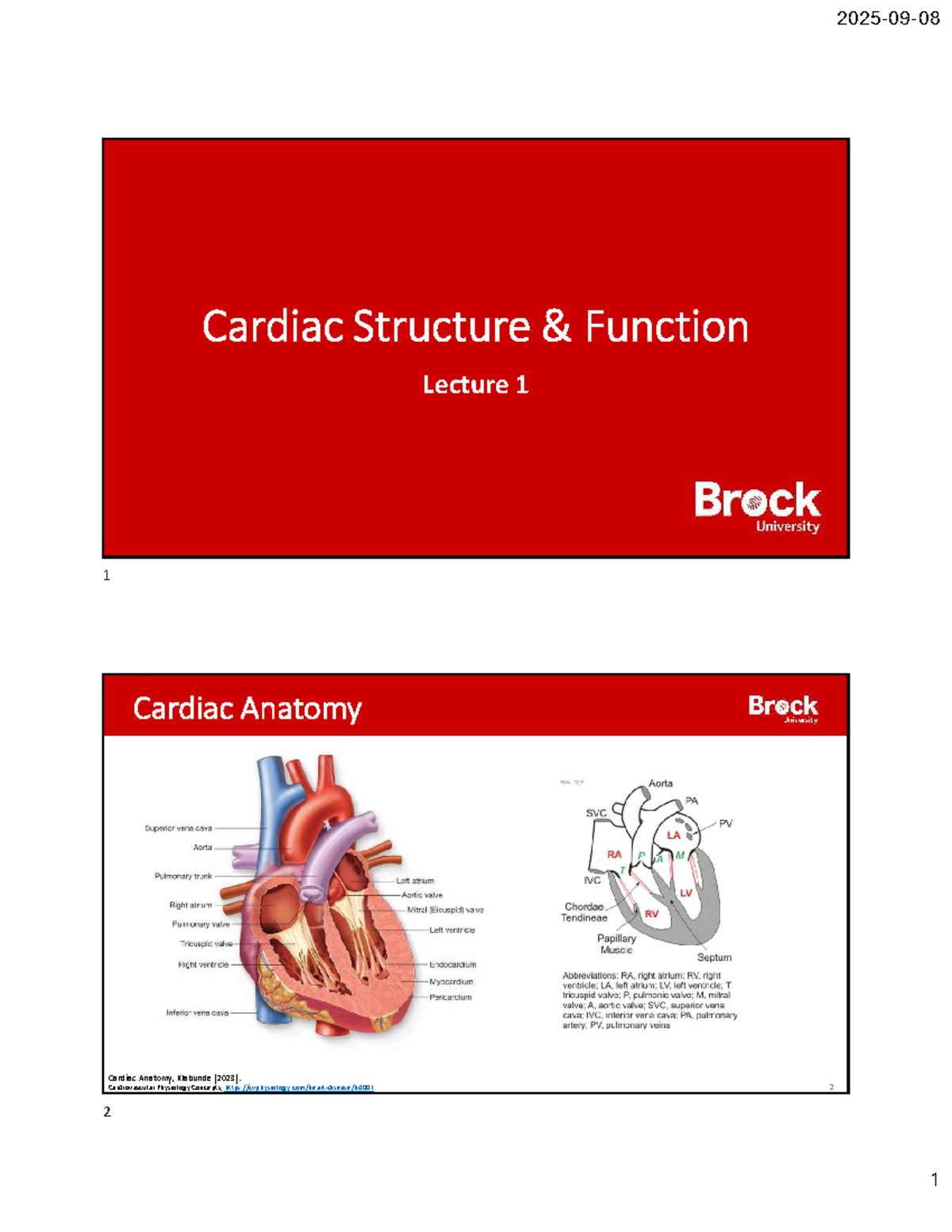 CV Physiology Lecture 1: Cardiac Cycle & Function Overview - Studocu