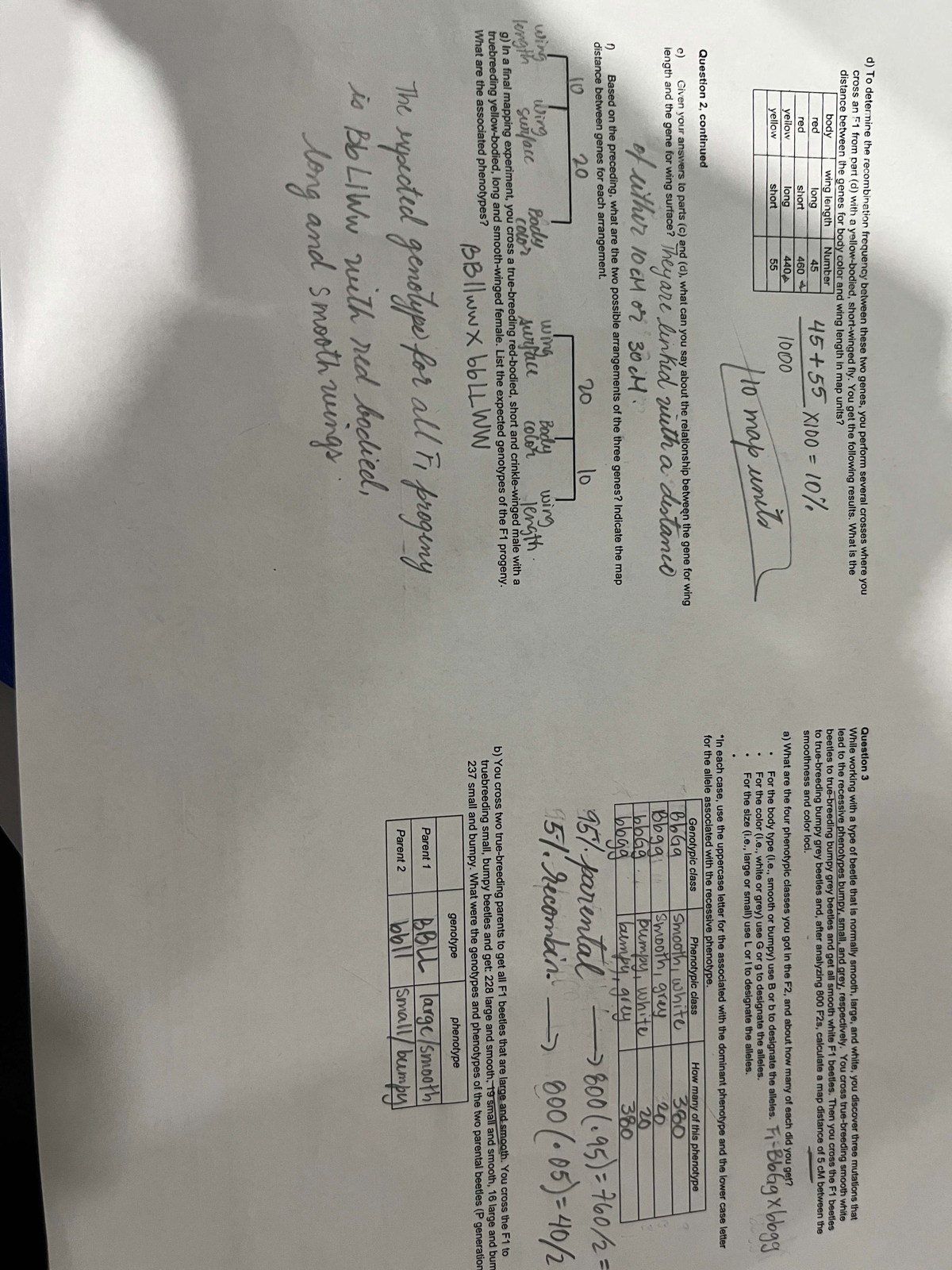 Unit 5 AP Biology: Gene Mapping and Recombination Frequencies - Studocu