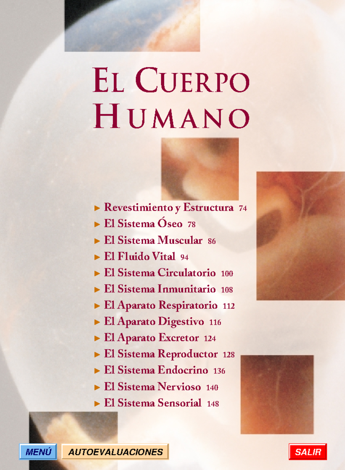 Anatomía del Cuerpo Humano: Estructura y Sistemas (02ANA) - Studocu