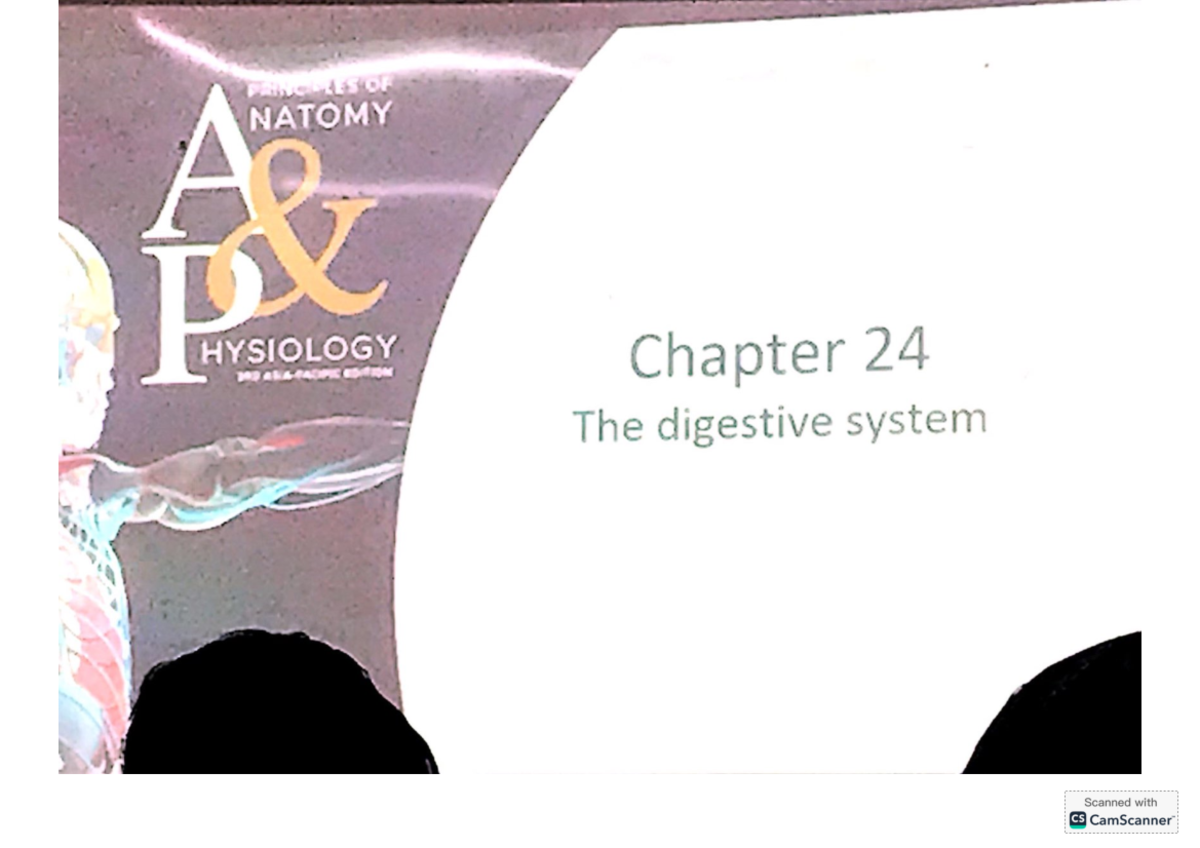 Digestive System - TOMY OLOGY Chapter 24 The digestive system Scanned ...