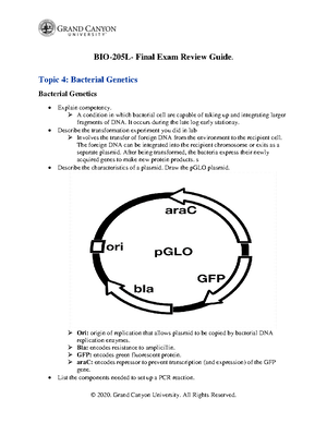 Lab report format guide - Microbiology Lab Report format To write a lab ...