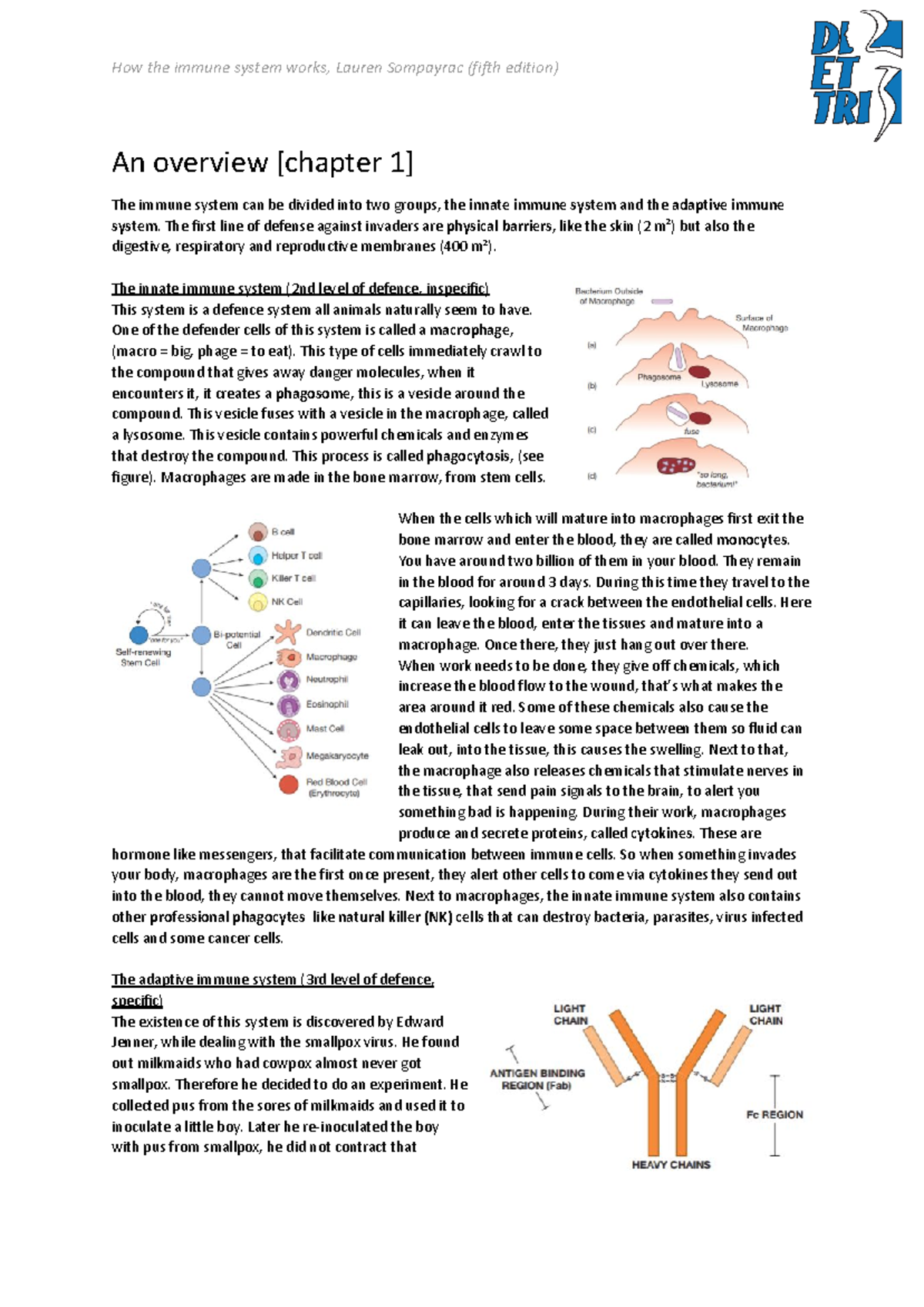 Intro to Human Immunology: Summary of Innate and Adaptive Immunity ...