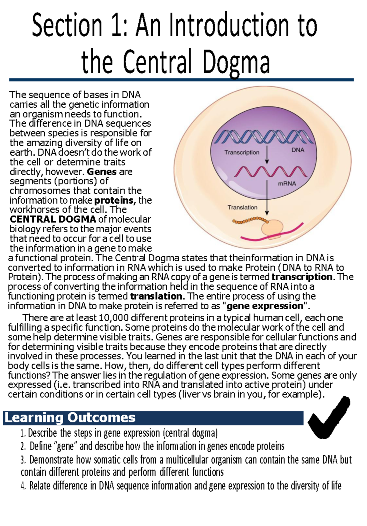 Unit 3: Section 1 - Introduction to the Central Dogma of Molecular ...