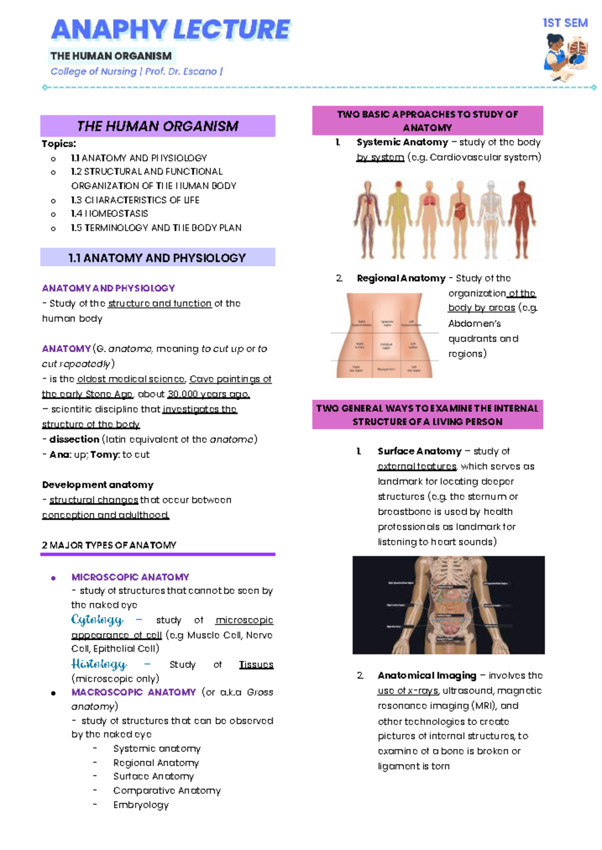 ANATOMY 101: SYSTEMIC AND REGIONAL STUDY OF THE HUMAN BODY - Studocu