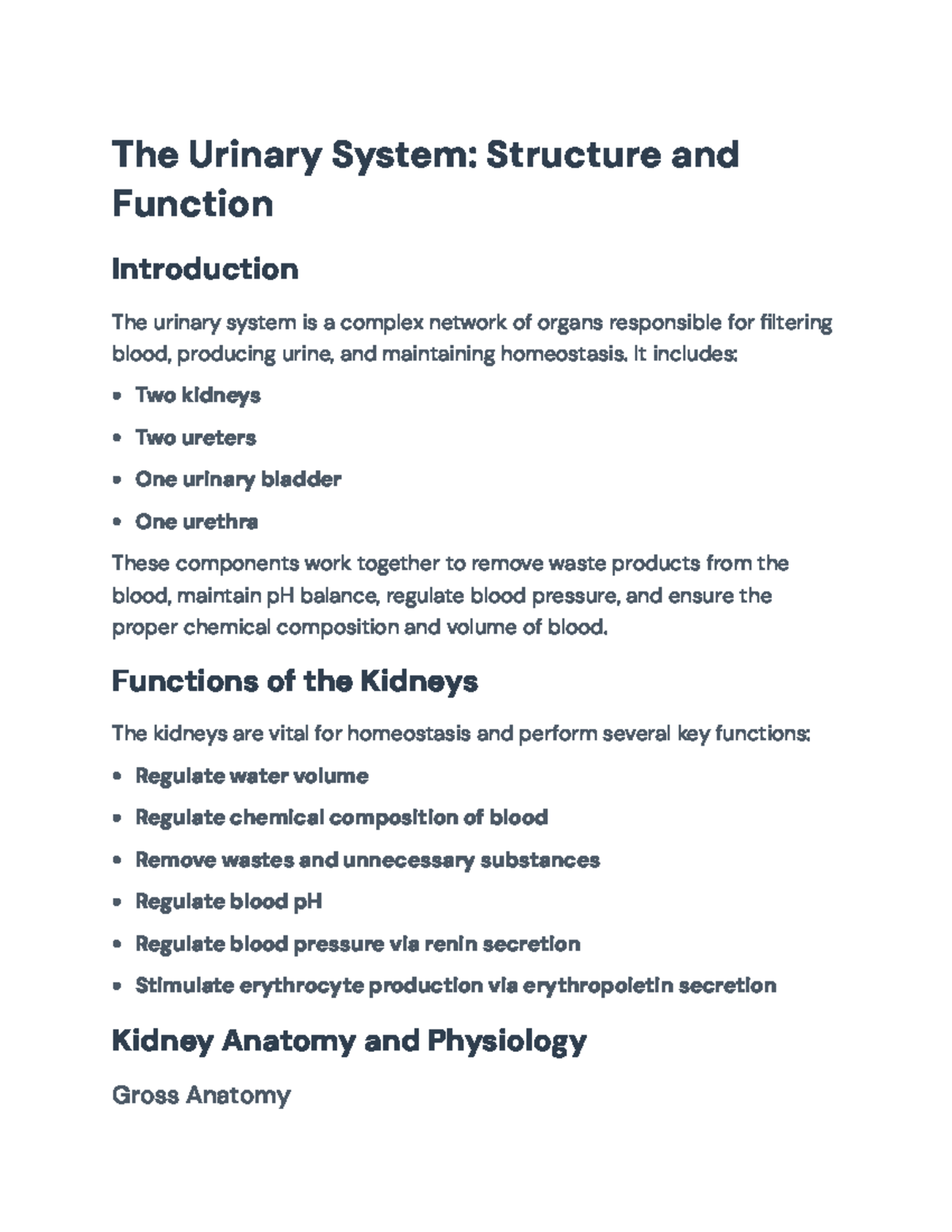 Urinary System Structure and Function Overview: Anatomy and Calculi ...