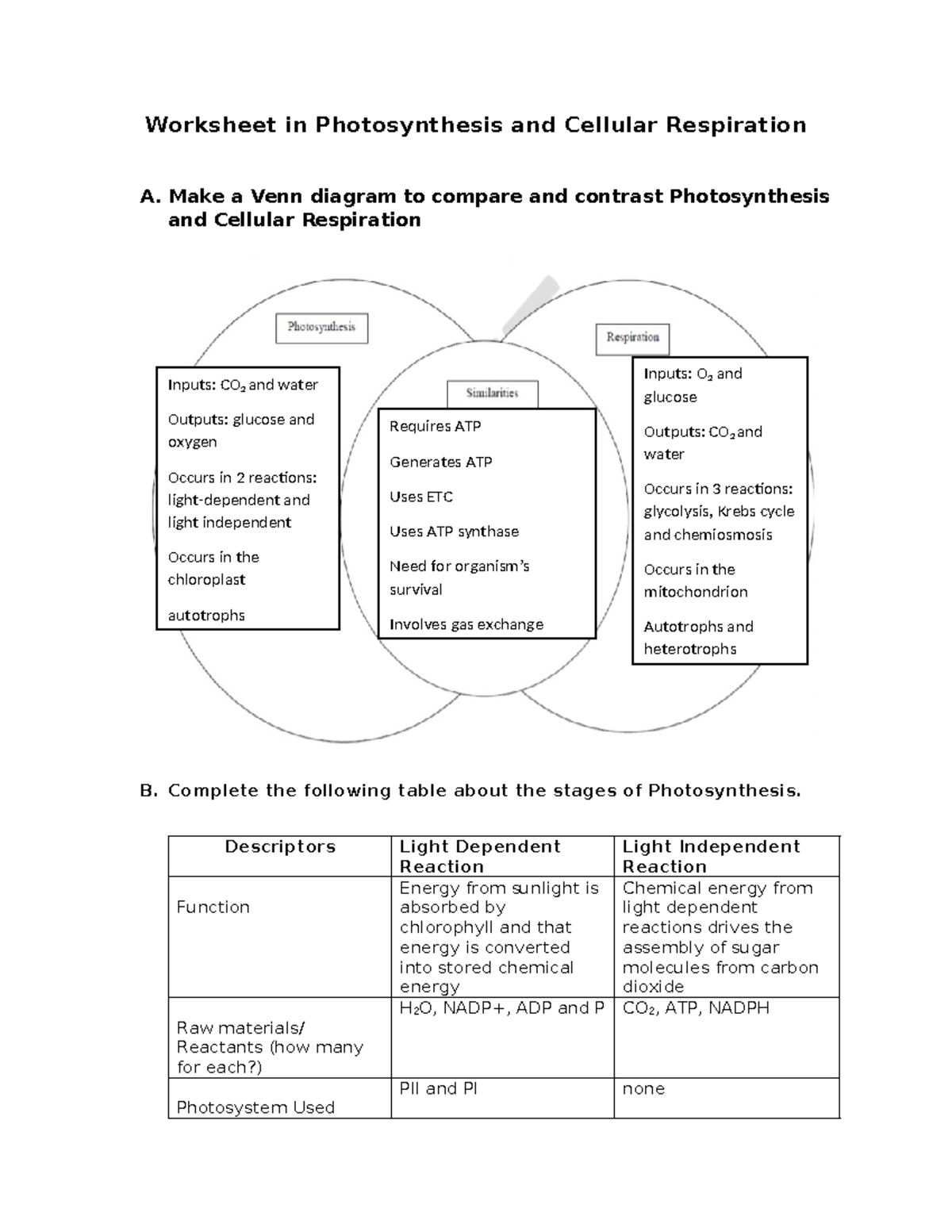 Worksheet on Photosynthesis and Cellular Respiration (Bio 101) - Studocu