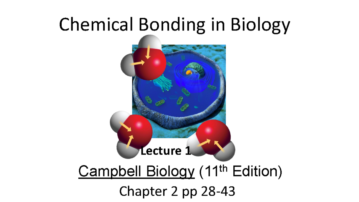 Lecture 1: Chemical Bonding and Elements - Campbell Biology 11th Ed ...