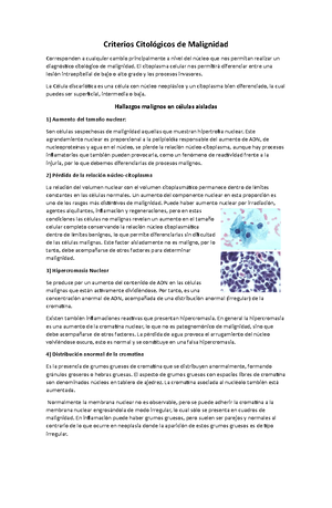 LSIL - Ascus - HSIL - Citologia Inflamatória (ASCUS, LSIL, HSIL ...