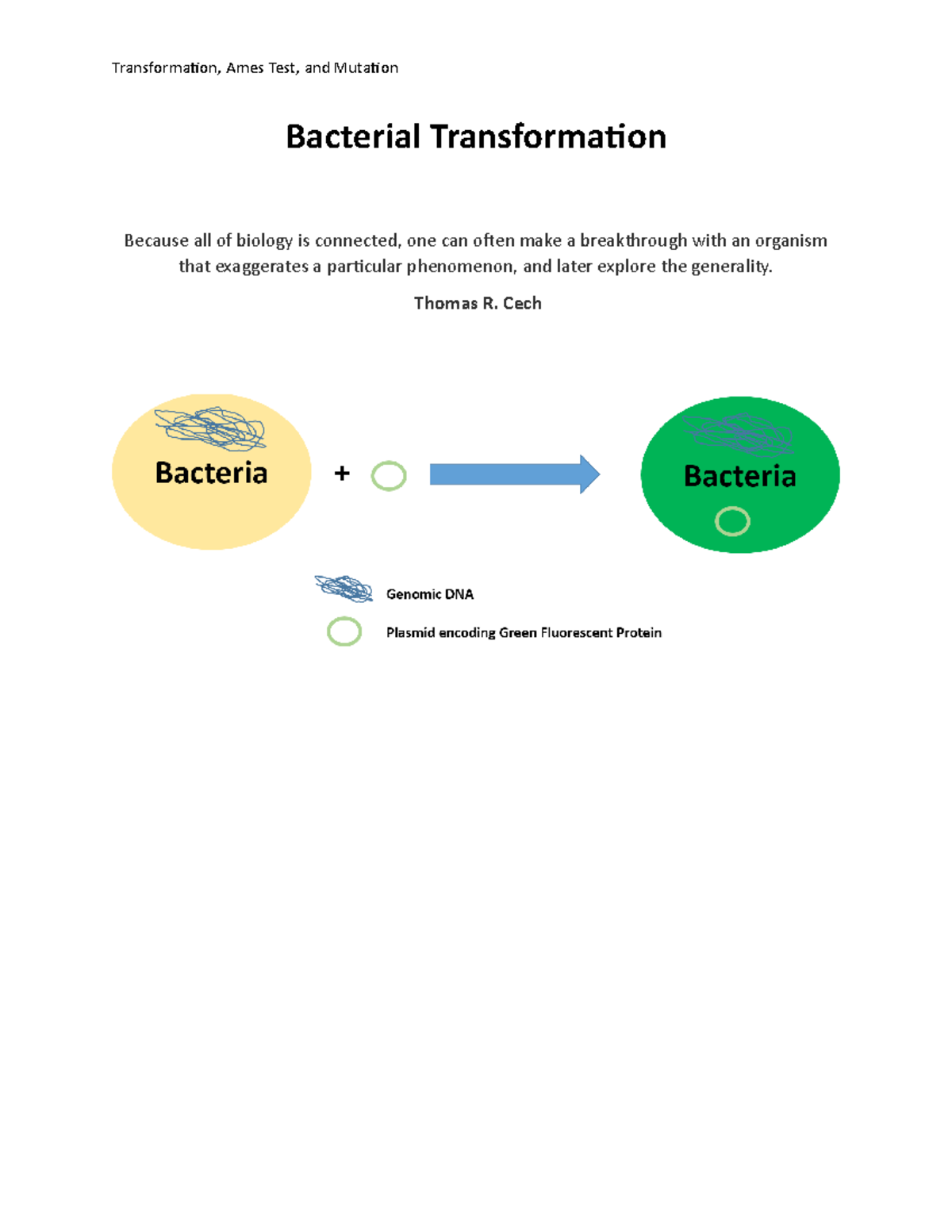Lab 5: Bacterial Transformation, Ames Test & Mutation Analysis - Studocu