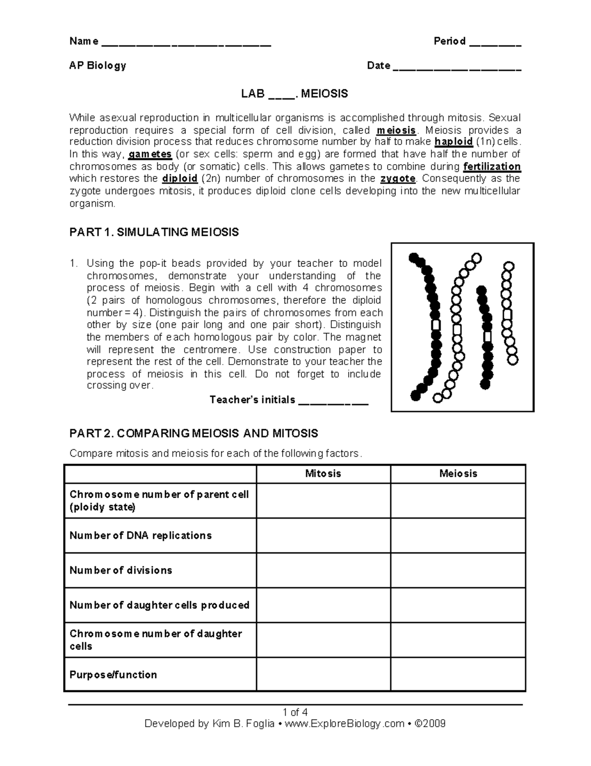AP Biology Lab: Meiosis Modeling & Comparison to Mitosis - Studocu