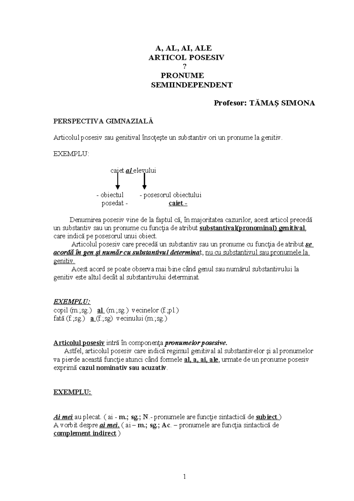 Articolul Posesiv și Pronumele Semiindependent în Limba Română - GIM ...