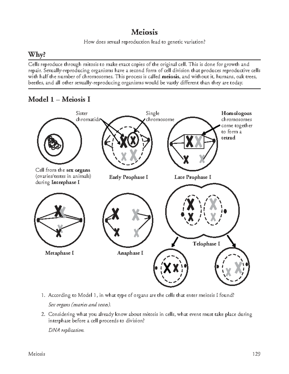 Meiosis: Genetic Variation in Sexual Reproduction (Biology 17) - Studocu