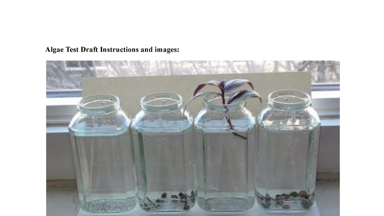 ,aw bkdj,ald a,d - Algae Test Draft Instructions and images ...