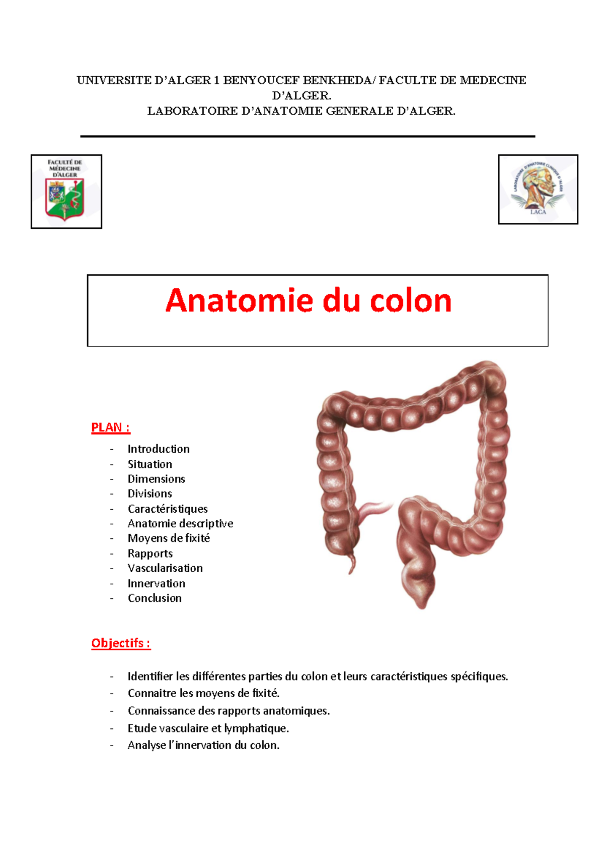 9) Anatomie du Colon: Caractéristiques, Vascularisation et Fixité - Studocu