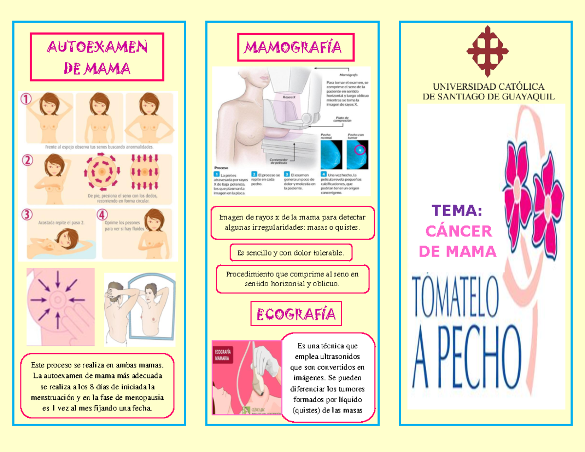 Cancer de Mama Triptico - TEMA: CÁNCER DE MAMA AUTOEXAMEN DE MAMA Este proceso se realiza en ...