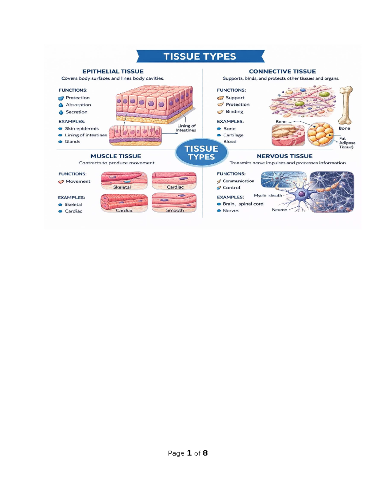 Tissues Overview for Practical Nursing (SCIE 157) Exam Prep - Studocu
