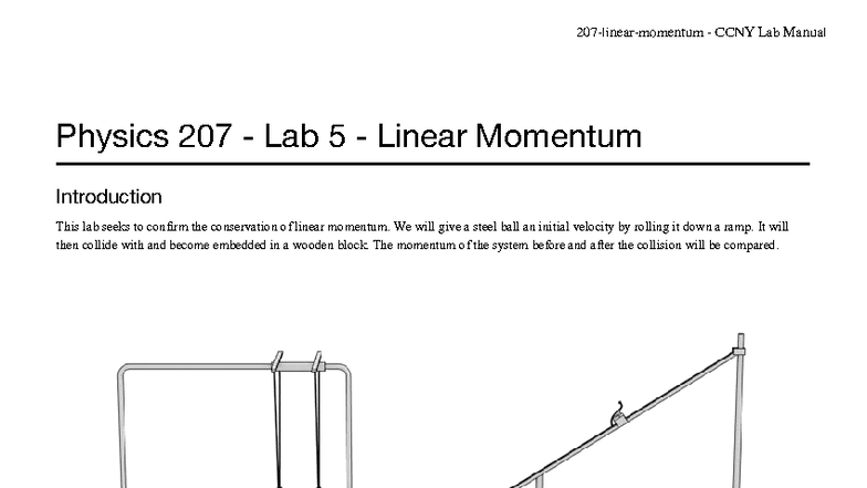 CCNY Physics 207 Lab 5: Exploring Linear Momentum Conservation - Studocu