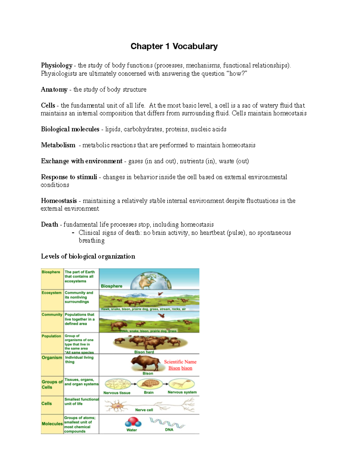 Chapter 1 Vocabulary - Chapter 1 Vocabulary Physiology - the study of ...