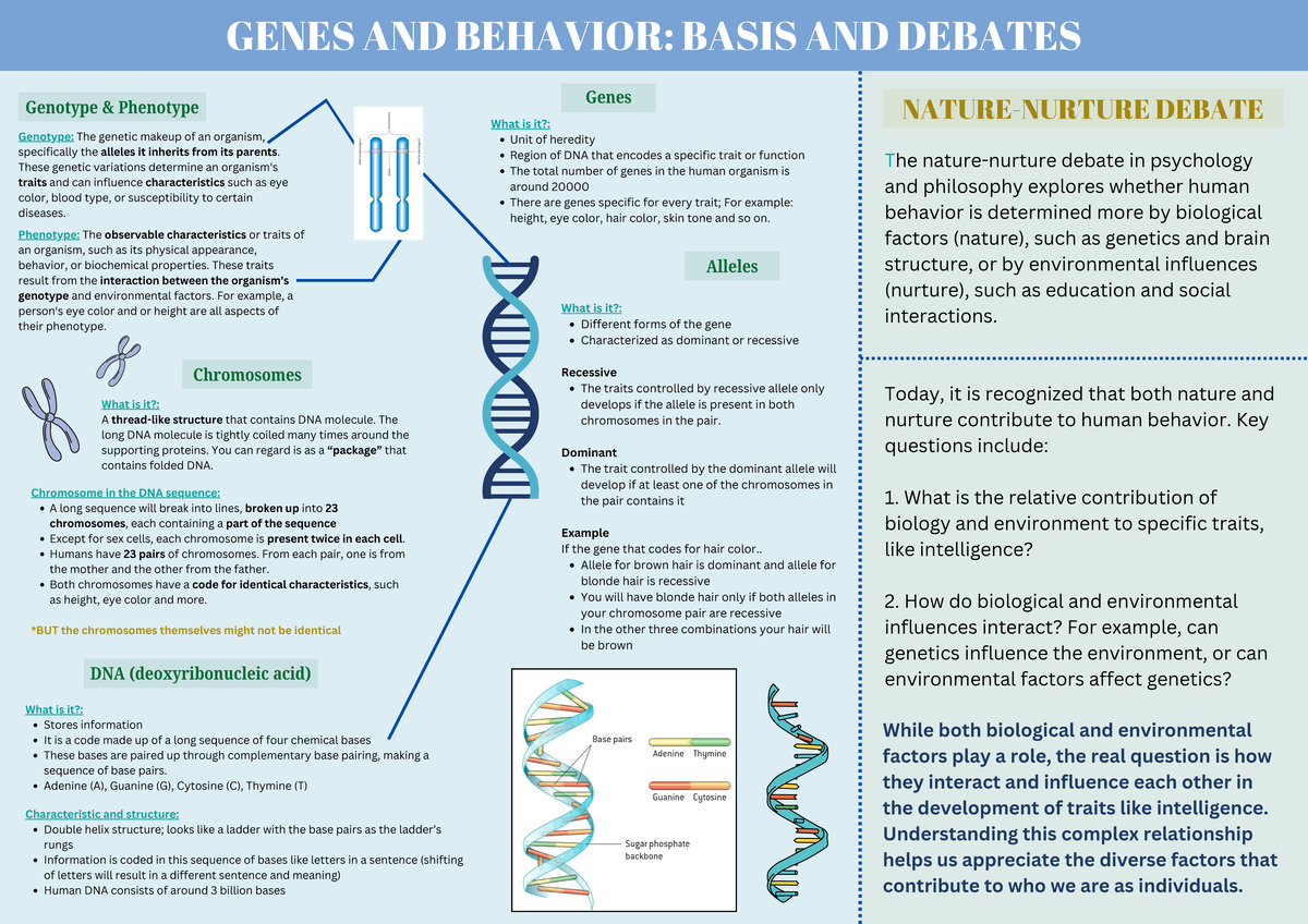 Genes AND Behavior - poster summary - Genotype: The genetic makeup of ...