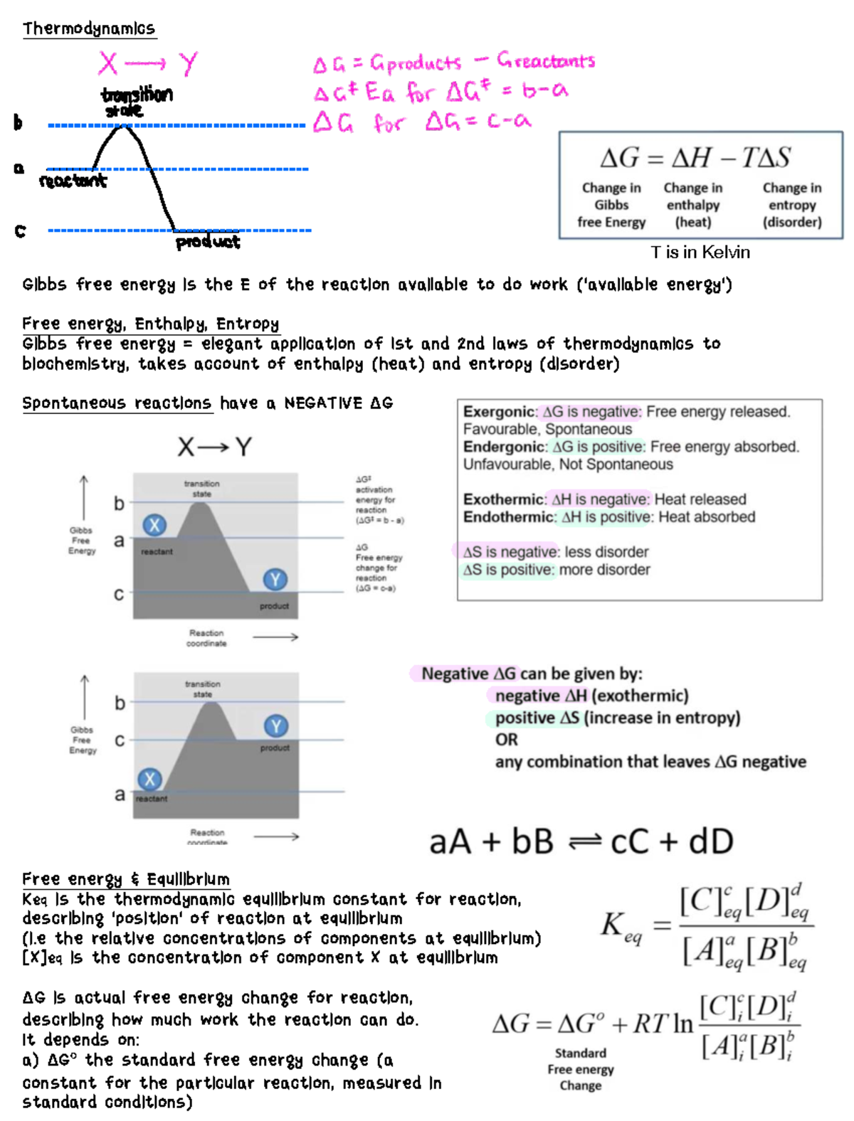 Biochemistry Week 1 Notes: Thermodynamics and Protein Structure - Studocu