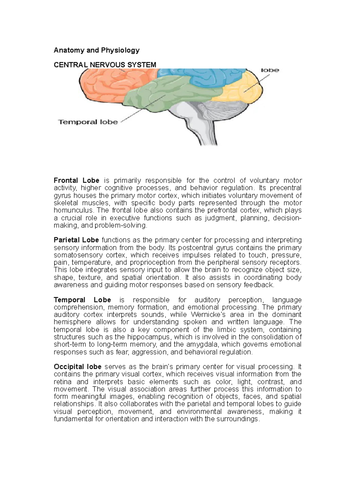 Anaphy 101: CNS Overview - Frontal, Parietal, Temporal, Occipital Lobes ...