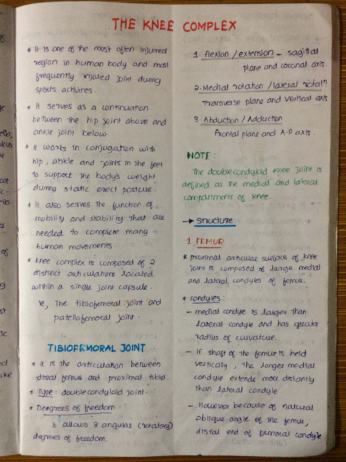 KNEE JOINT ANATOMY & FUNCTION (KNEE 101) - Studocu