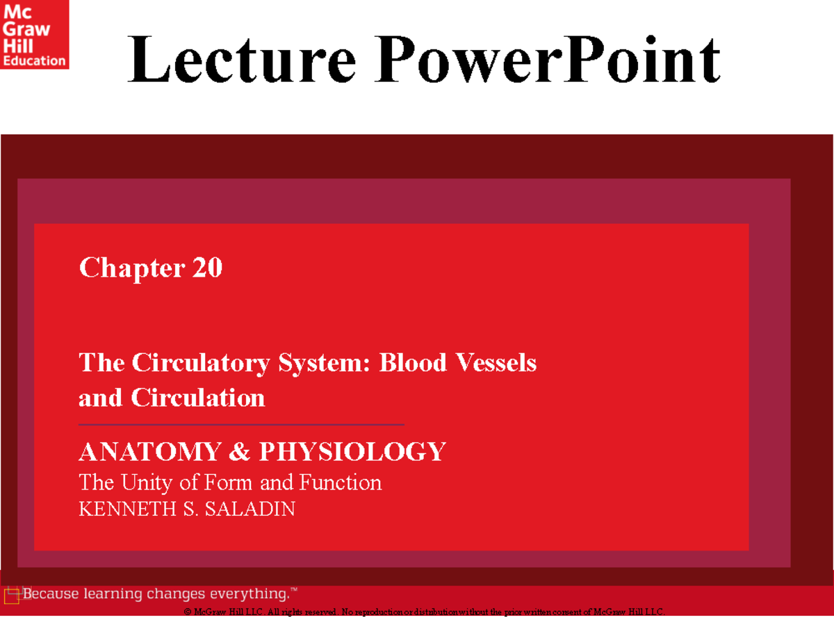 Anatomy Lecture Notes: Blood Vessels - Major Arteries & Veins Overview ...