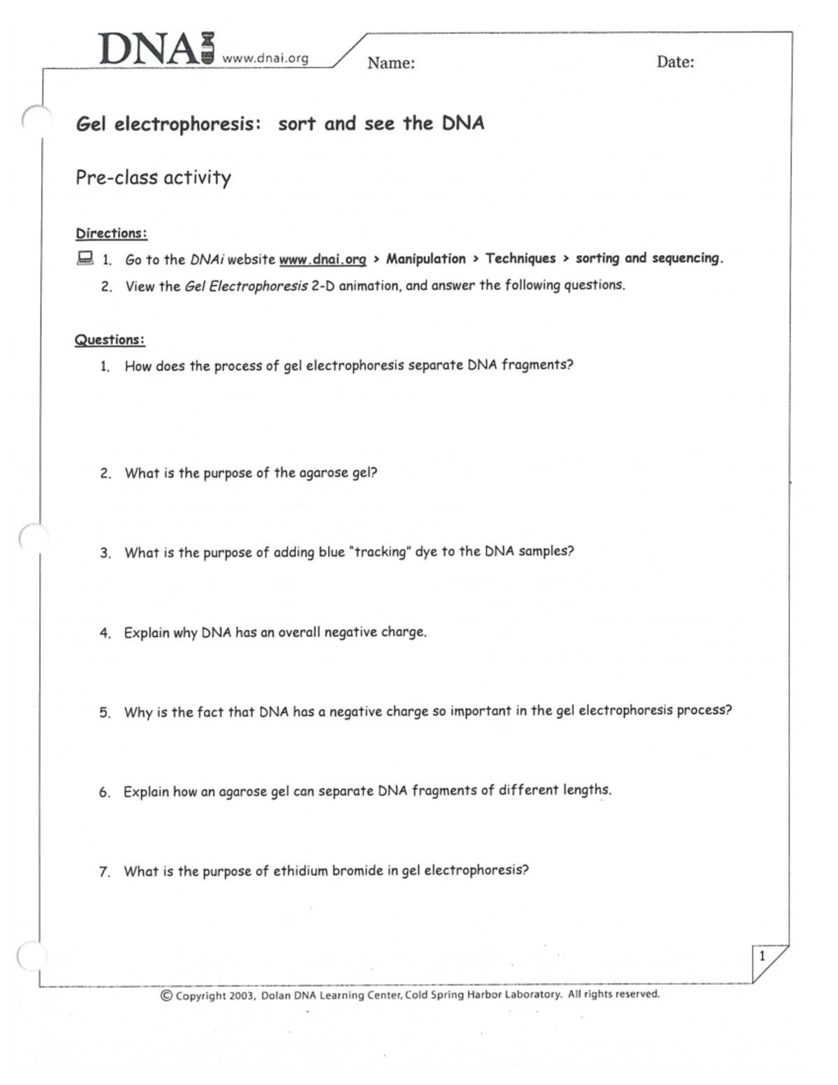 BIO-WORK - Gel Electrophoresis Lab Activity Guide and Questions - Studocu