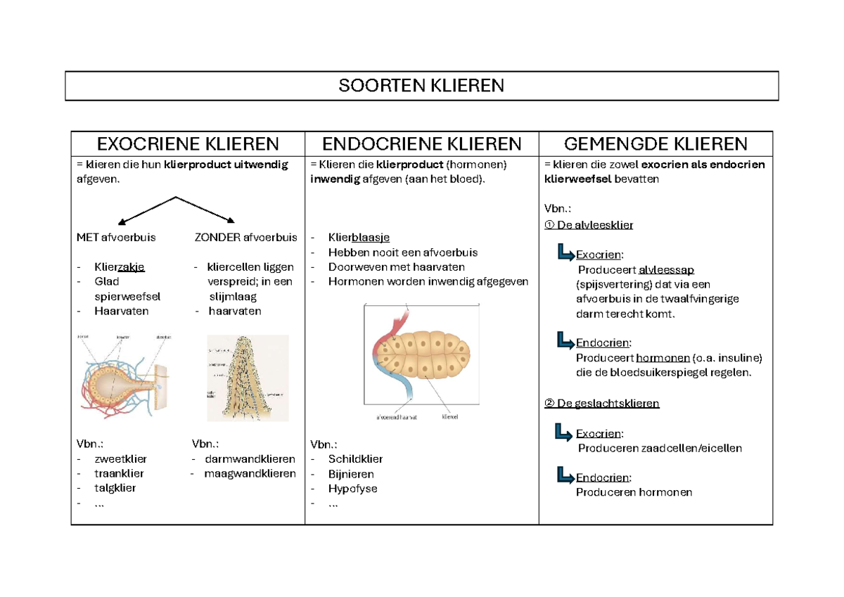 SOORTEN KLIEREN: EXOCRIENE, ENDOCRIENE EN GEMENGDE KLIEREN - Studocu