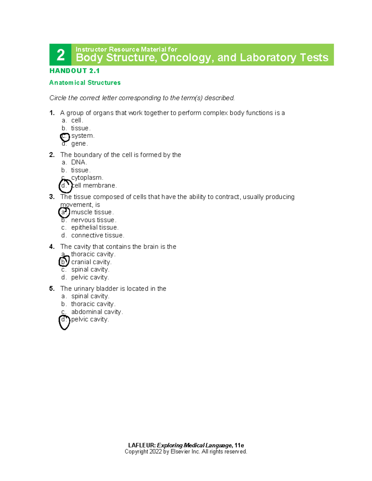 Ch2 - Body Structure, Oncology & Lab Tests Handout Materials - Studocu