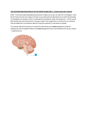 General Class Notes - Endocrine (Hormone) System (Grade 12) - THE HUMAN ...