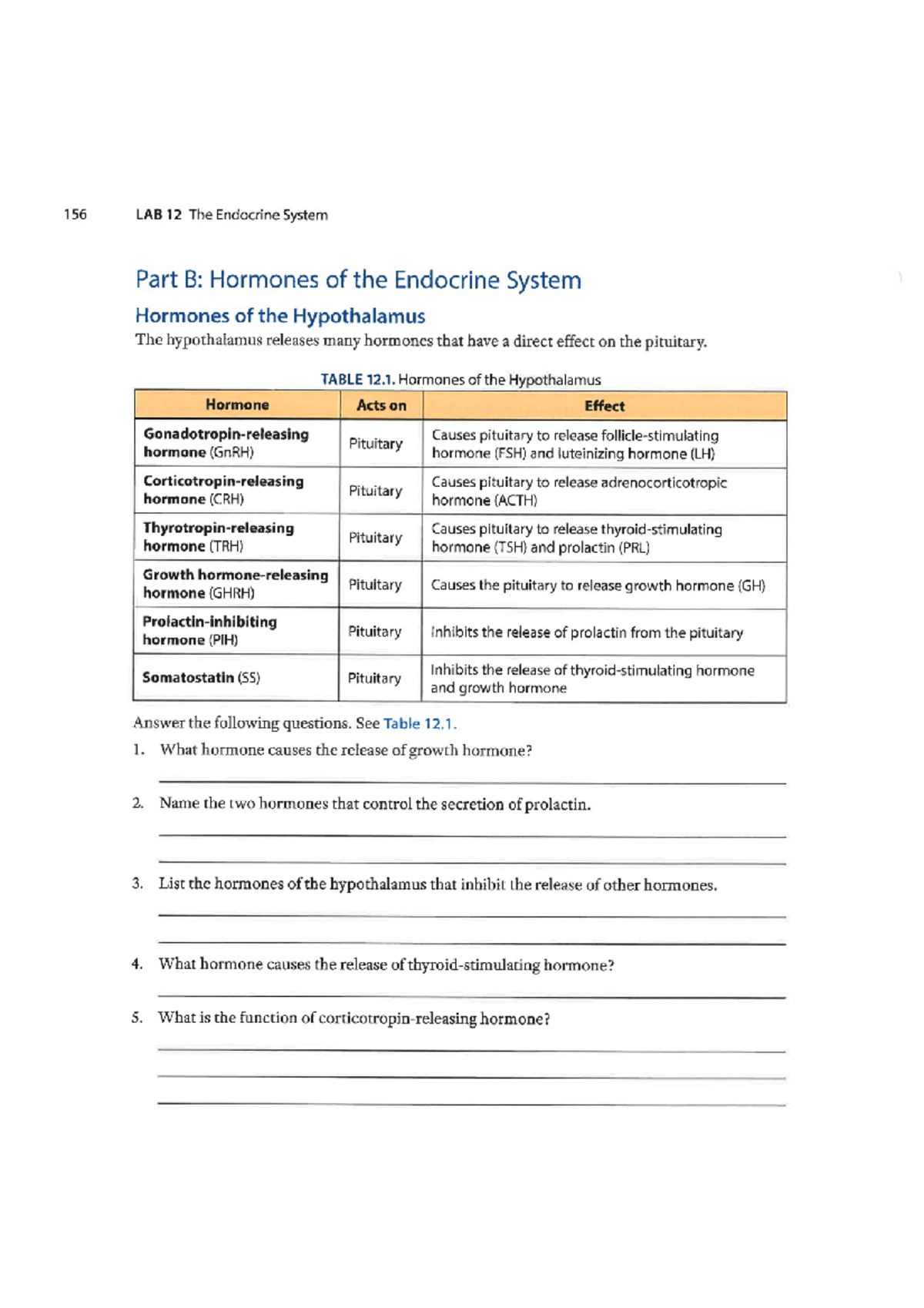 156 LAB 12 The Endocrine System: Hormones and Their Functions - Studocu