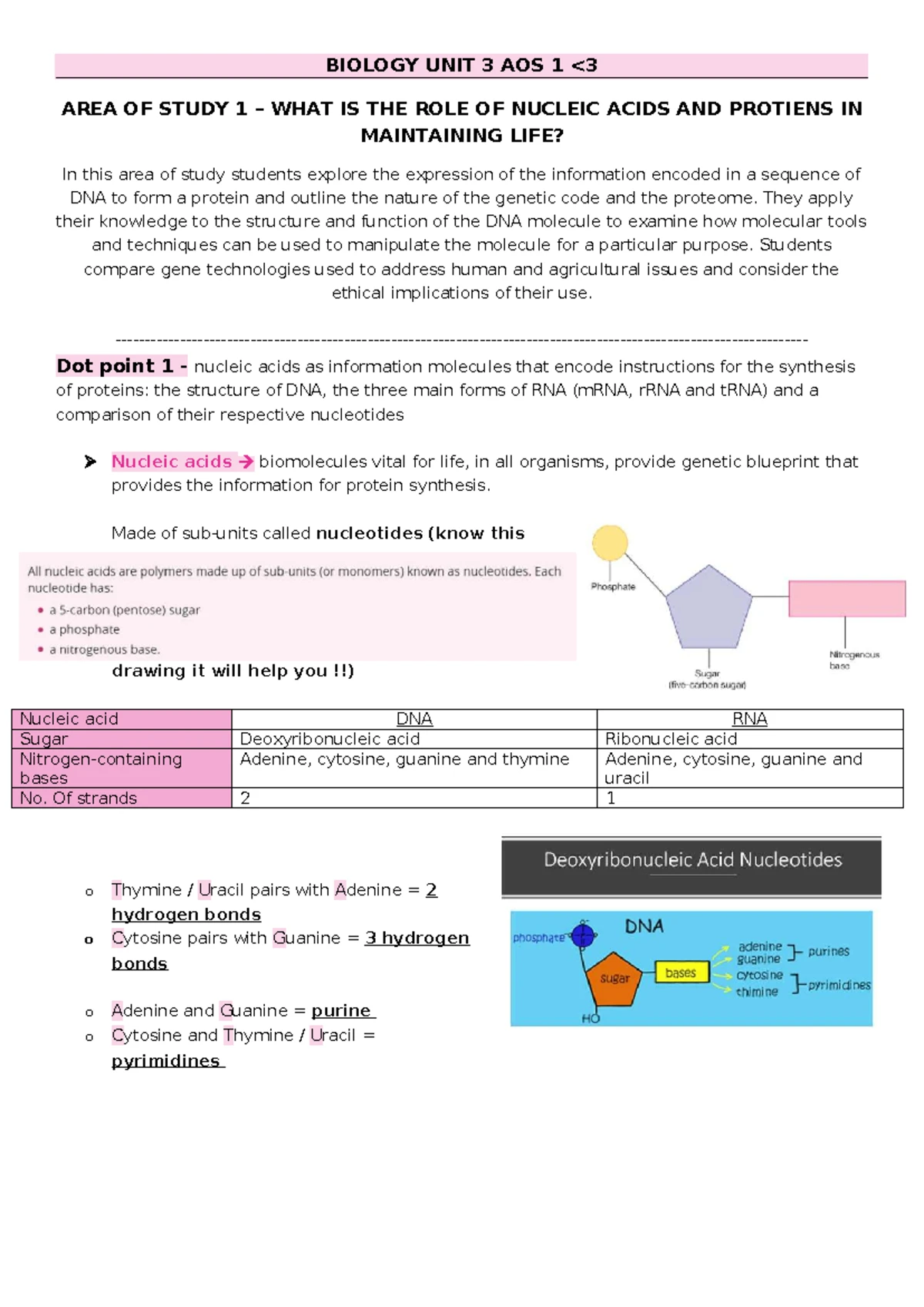 Biology 2024 Unit 4 AOS 1: Immune Responses to Pathogens Explained ...