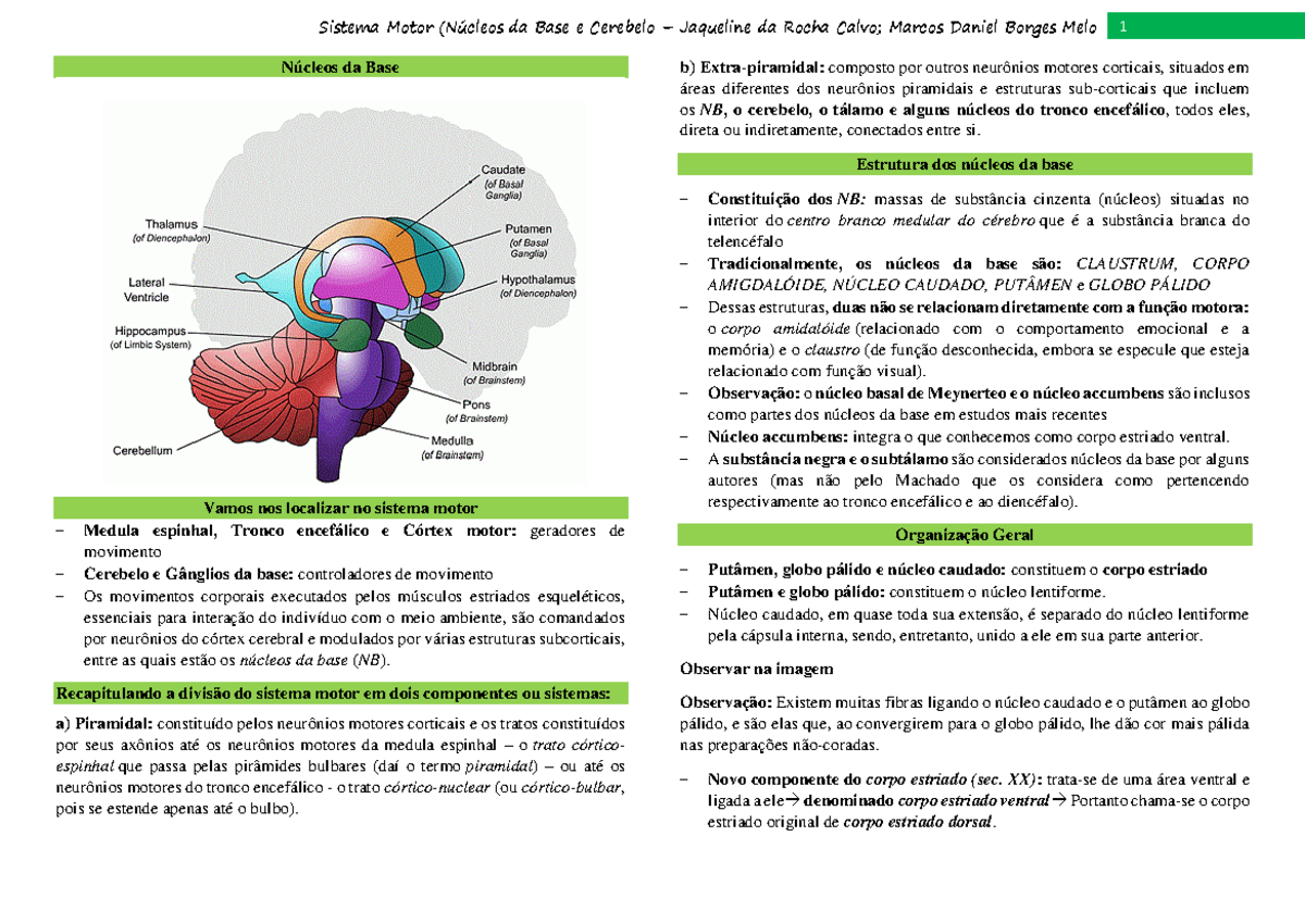 Resumo - Núcleos da Base e Cerebelo - Núcleos da Base Vamos nos ...