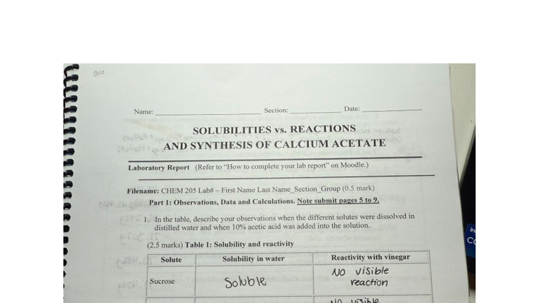 CHEM 205 Lab #4: Solubilities & Reactions of Calcium Acetate - Studocu
