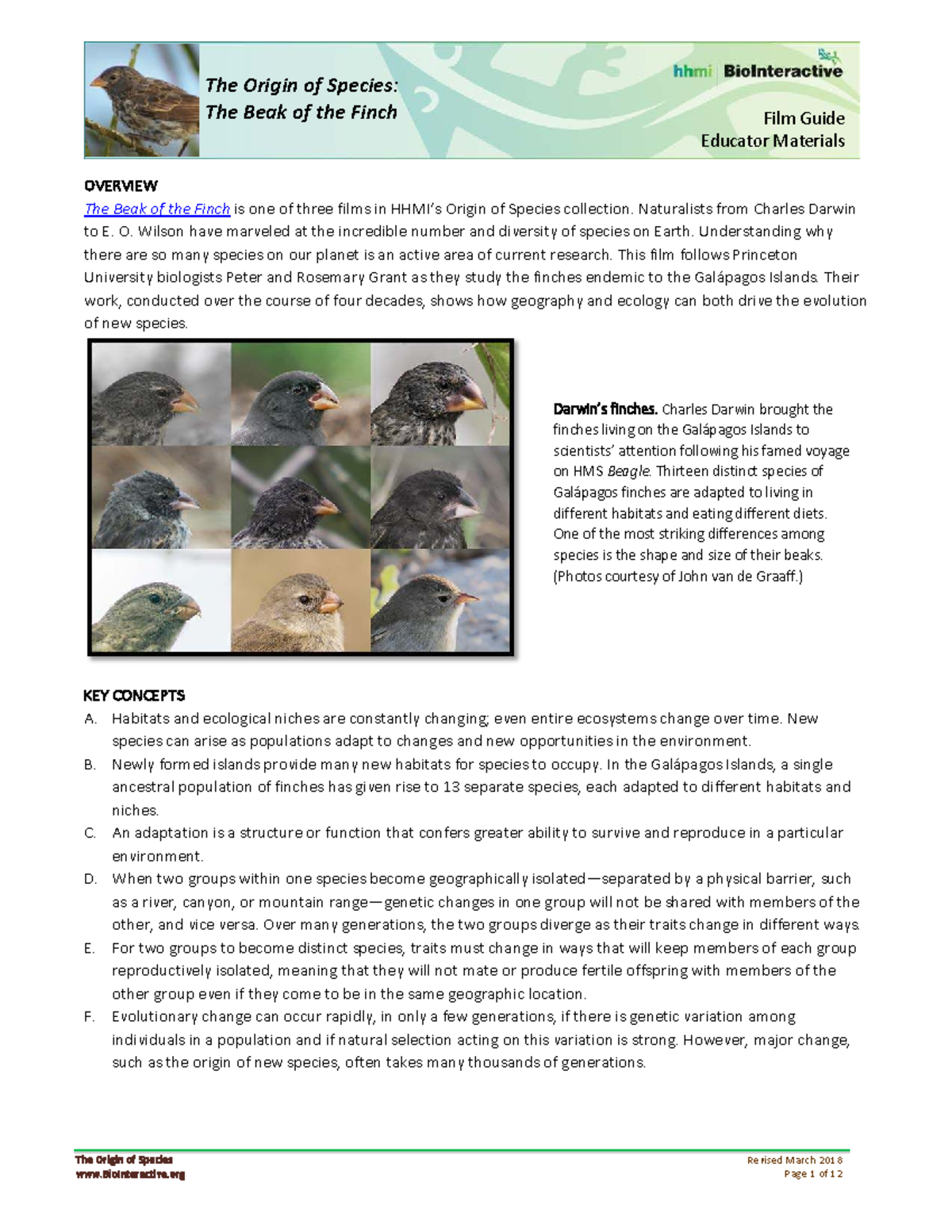The Origin of Species: Beak of the Finch Film Guide for Educators - Studocu