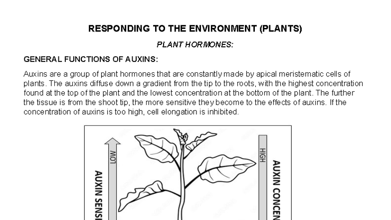 Plant Hormones Summary: Functions of Auxins in Growth and Response ...