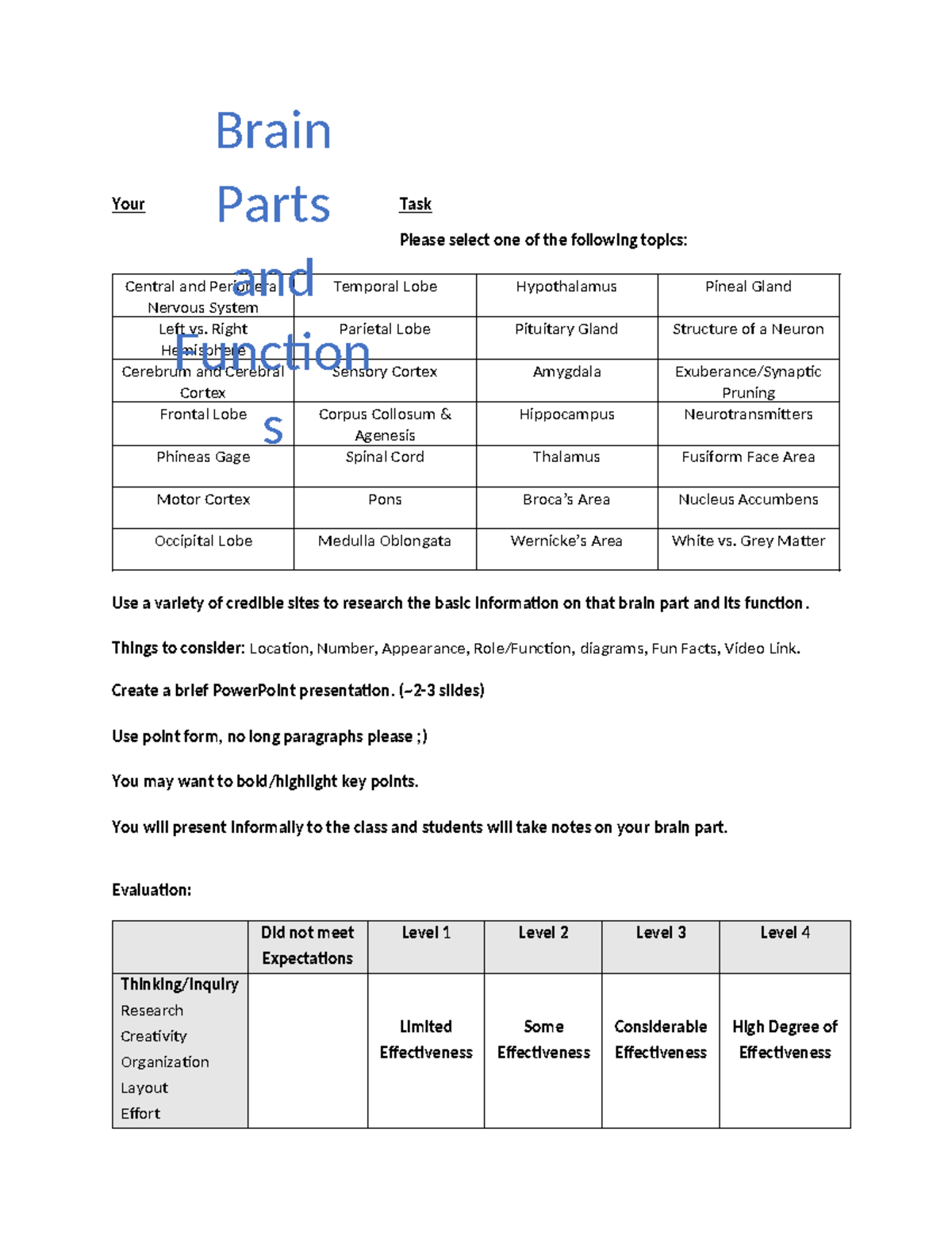 Brain Parts and Functions Assignment Fall 2022 - Your Task Please ...