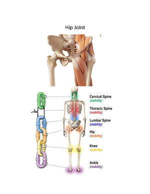 DN for QL and MG - appraising for Gluteus Medius and Quadratus Lumborum ...