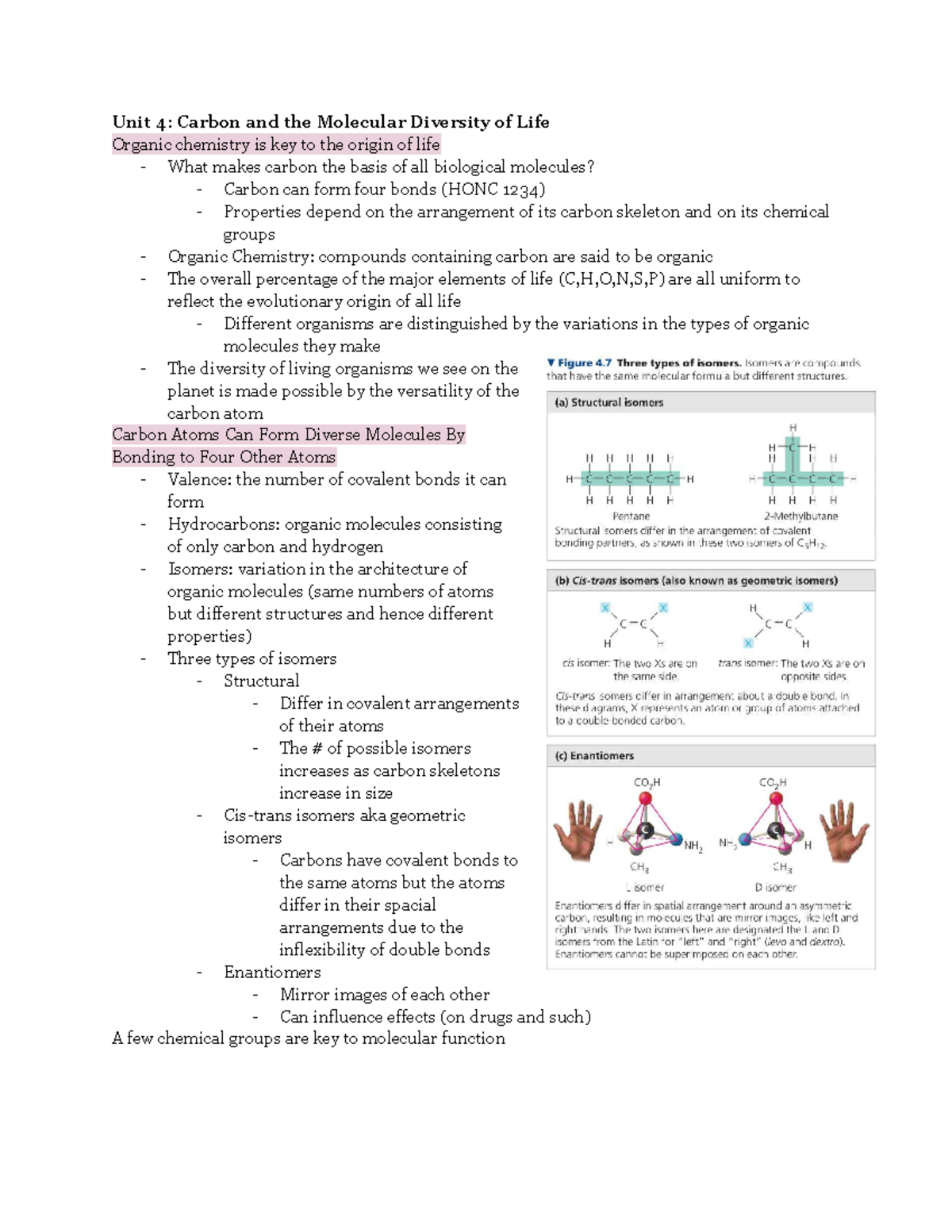 Unit 4: Carbon and molecular diversity of life - Bio 1A notes - Studocu