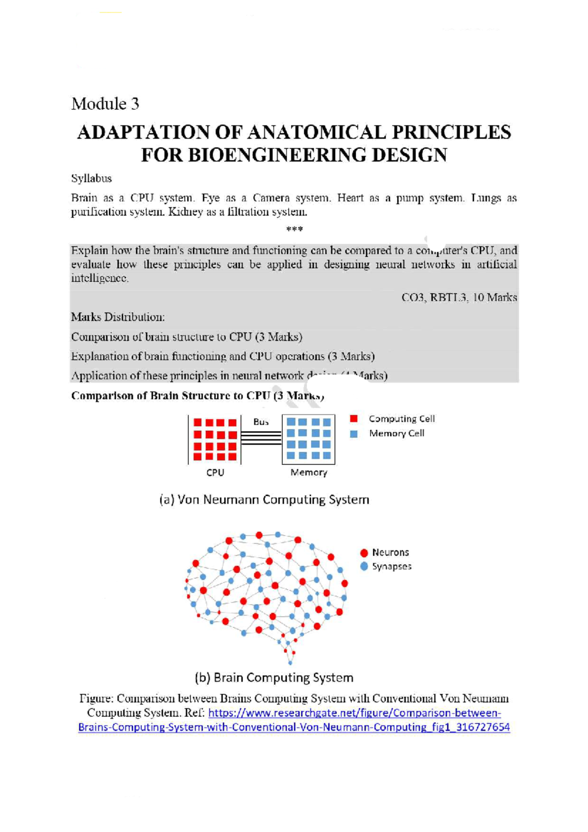 BBOC407 Module 3 notes - Biology for Engineers - Studocu
