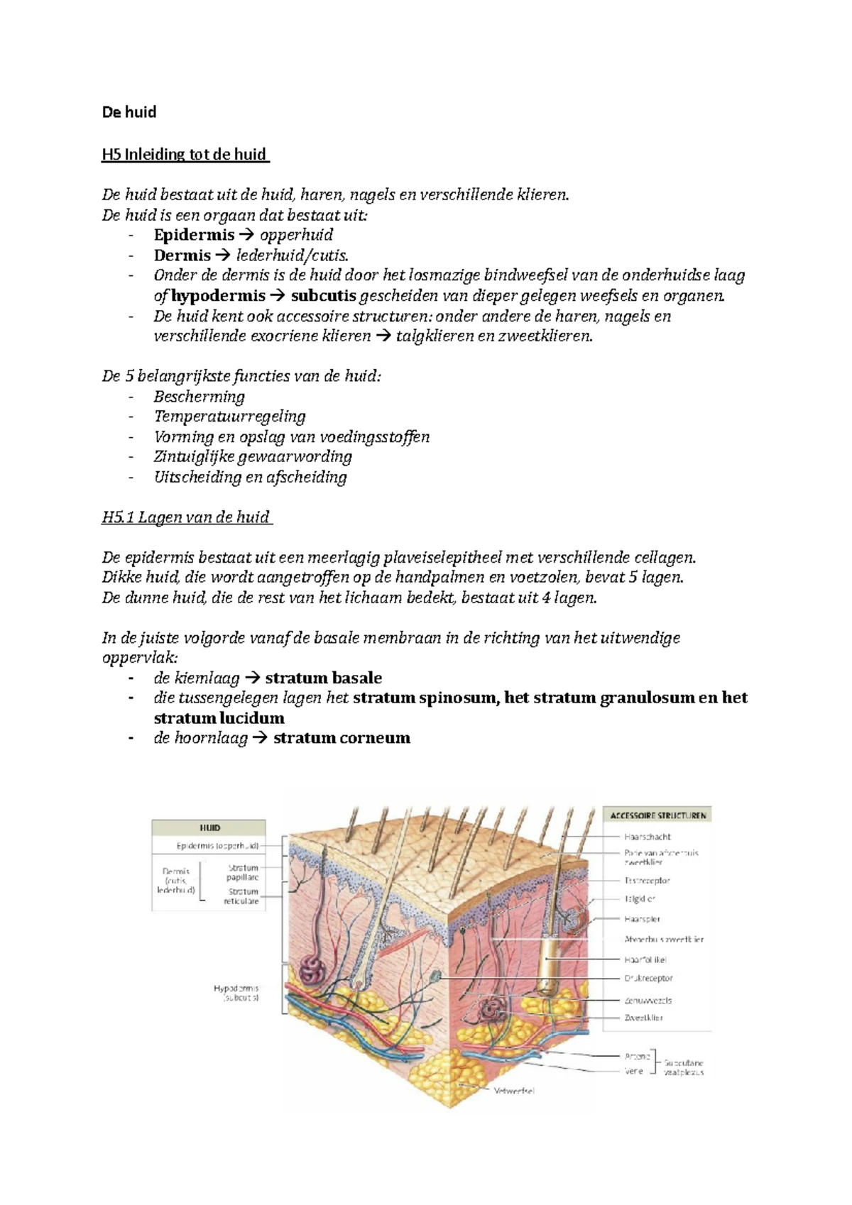 H5 de huid, pearson leerboek anatomie en fysiologie over de huid - De ...