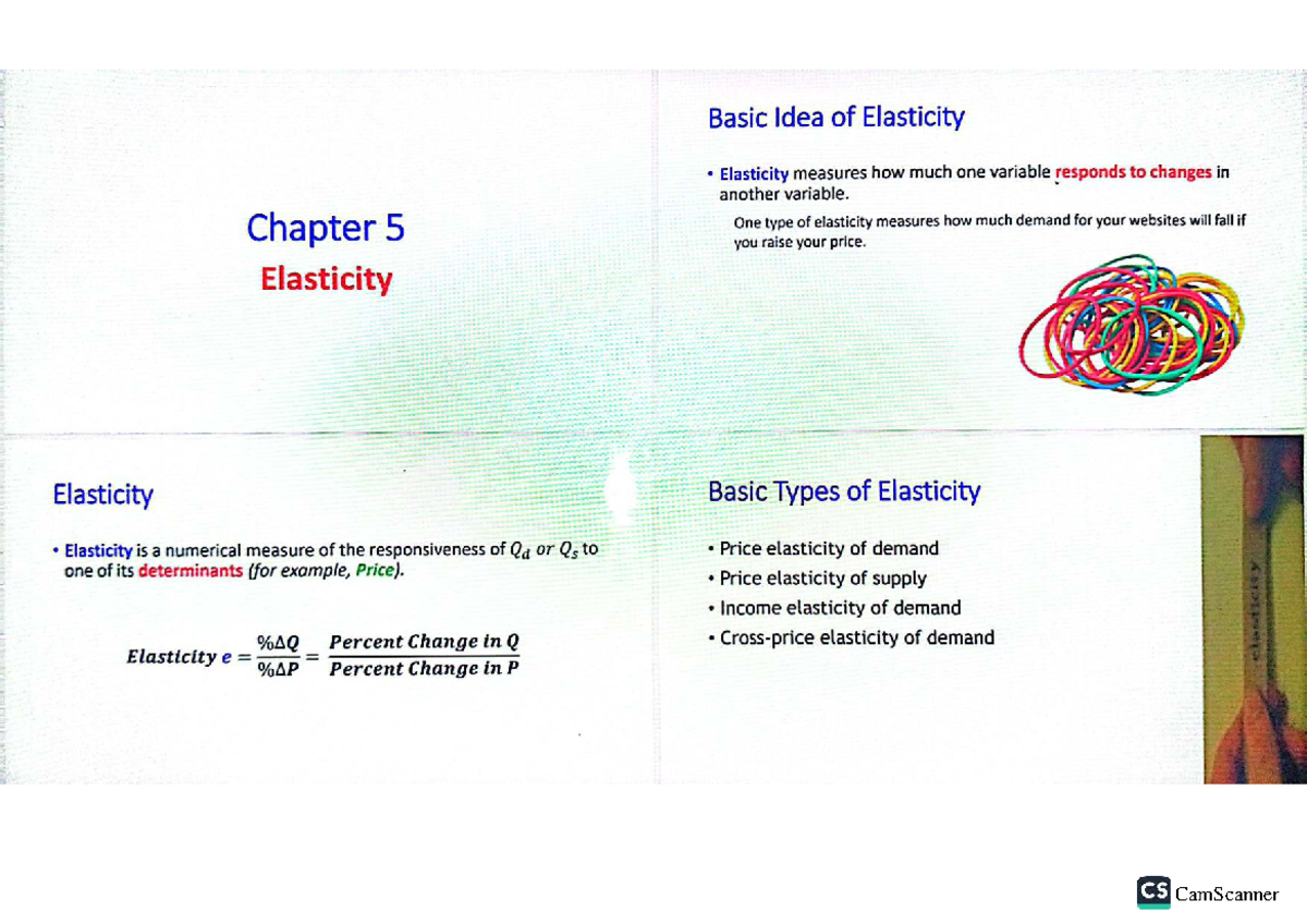 Chapter 5: Understanding elasticity and its types in economics - Studocu