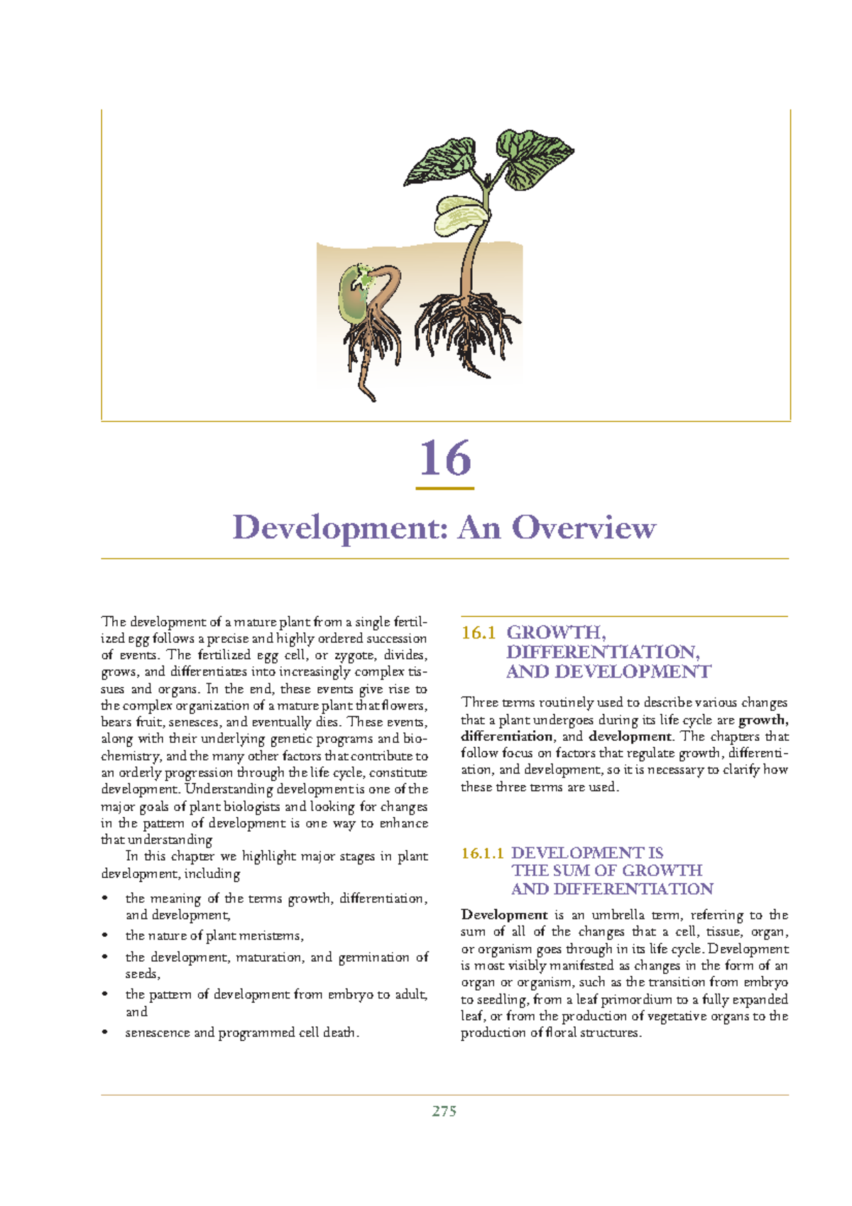 Seed Development and Germination: An Overview (Biology 101) - Studocu