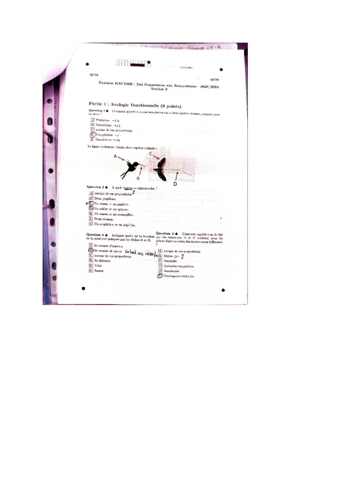 QCM Examen HAV108B - Fonctionnalité Écologique Session 2 - Studocu